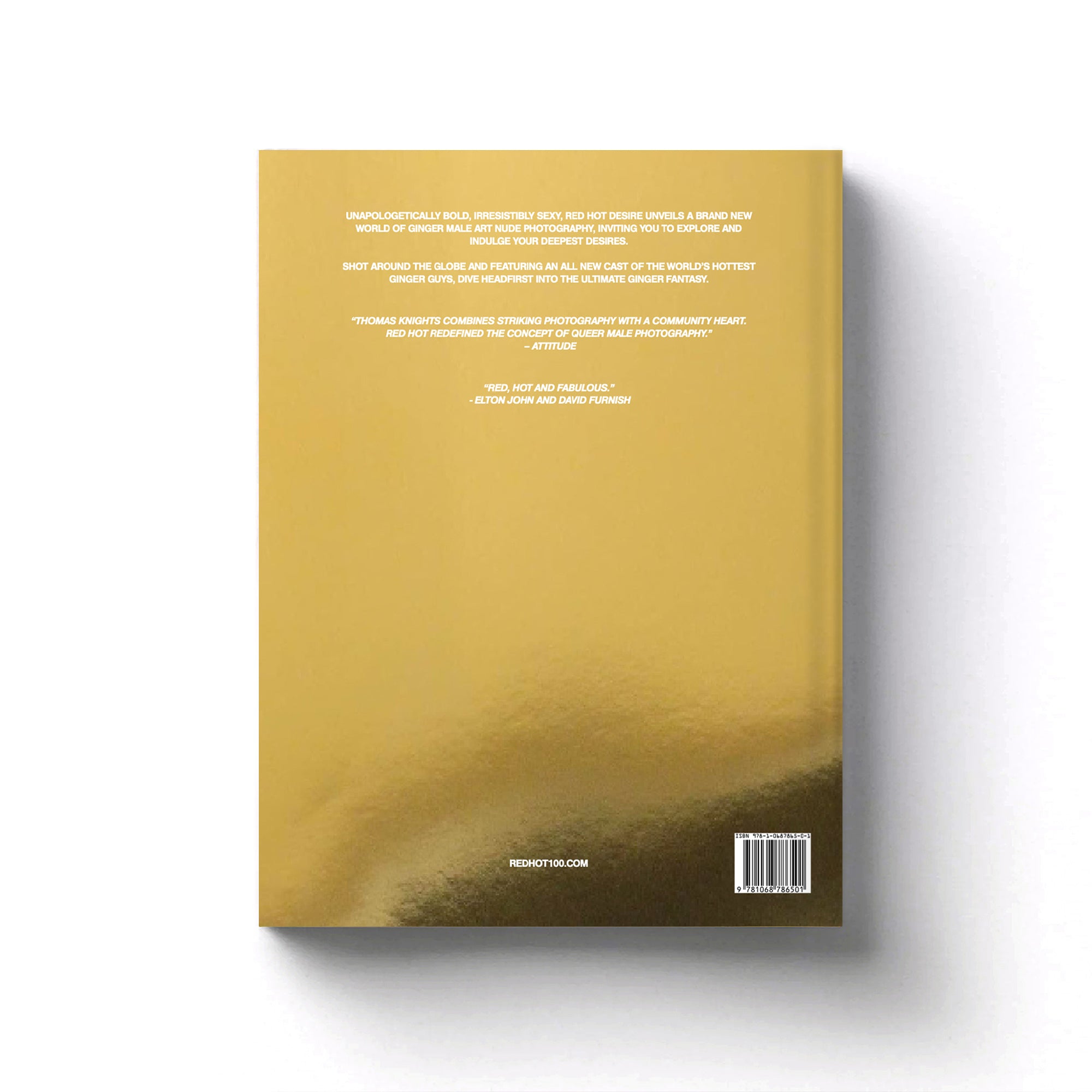 The Red Hot Desire Art Book - Pre-order – Red Hot 100